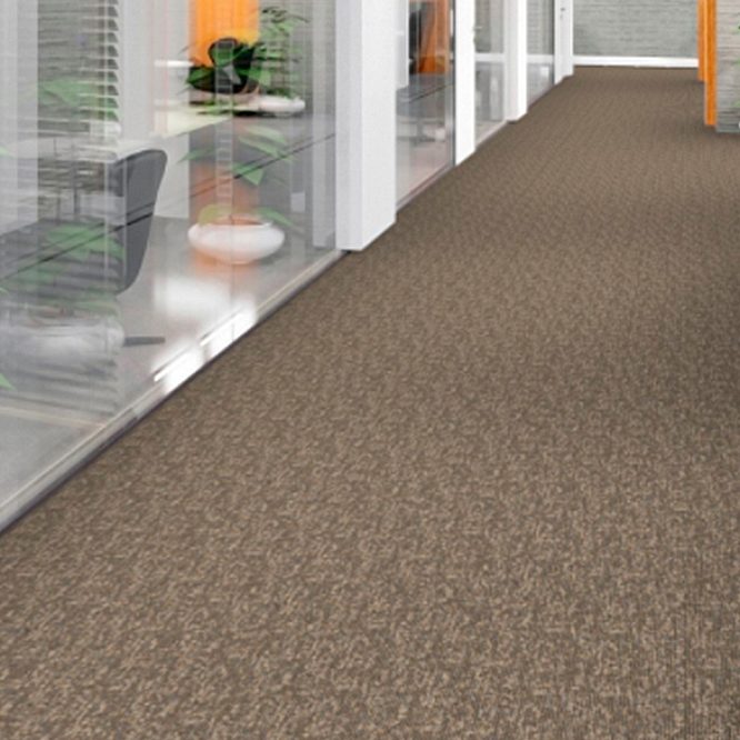 University – Spectrum Flooring